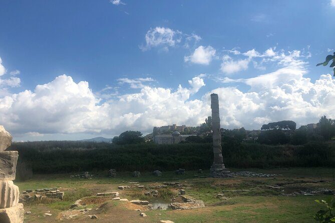 Private Express Ephesus Tour from Izmir Port / Cruisers only - In-Depth Analysis: Why This Tour Works