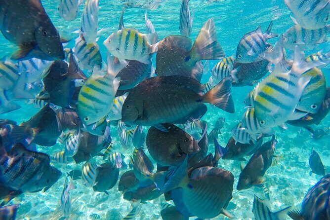 Private Family Catamaran From Isla Mujeres - Practical Details and Considerations