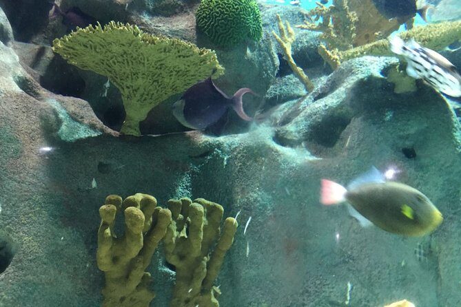 Private Family Day Tour in Guangzhou to Grandview Aquarium and Guangzhou Zoo - What You Can Expect: A Detailed Breakdown of the Itinerary