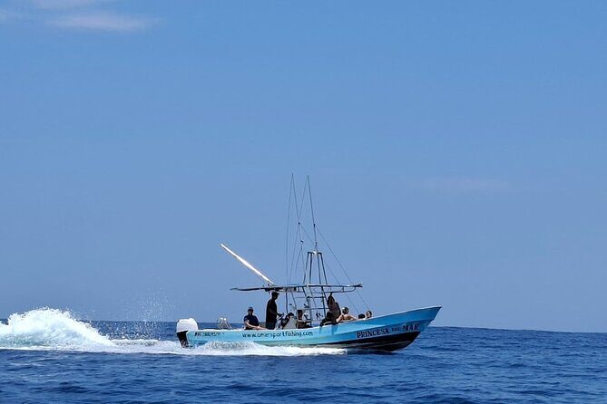 Private Family Dolphin and Whale Tour in Puerto Escondido - An In-Depth Look at What This Tour Offers