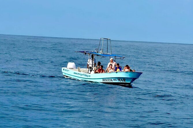 Private Family Dolphin and Whale Tour in Puerto Escondido - FAQ