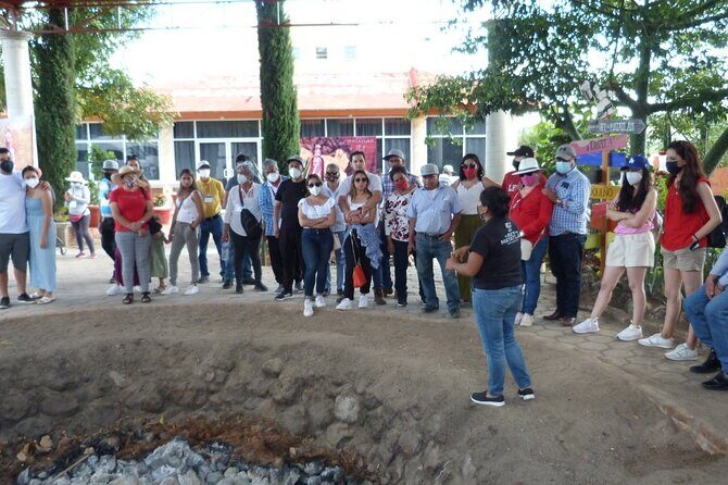 Private Family Tour visitng Mitla, Mezcal Factory, HIerve el Agua - Who Should Take This Tour?