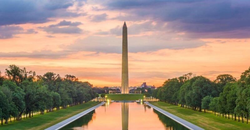 Private Family walking tour in Washington - What Sets This Tour Apart