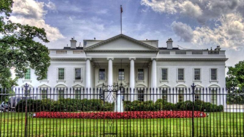 Private Family walking tour in Washington - The Sum Up: Who Is This Tour Best For?
