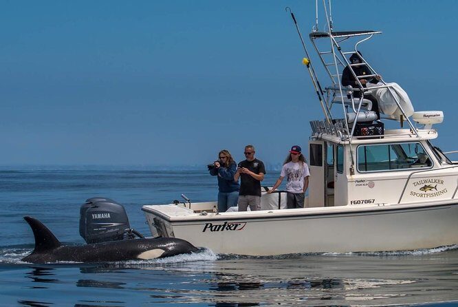 Private Family Whale & Dolphin Adventure in San Diego - Why This Tour Appeals to Travelers