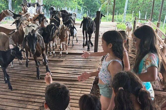 Private Farm-to-Table Dominican Cooking Class near Punta Cana - An Authentic Taste of the Dominican Republic