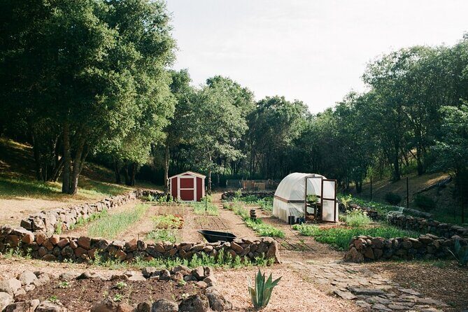 Private Farm Workshop in Napa Valley - Discover a Different Side of Napa Valley: Private Farm Workshop in Napa