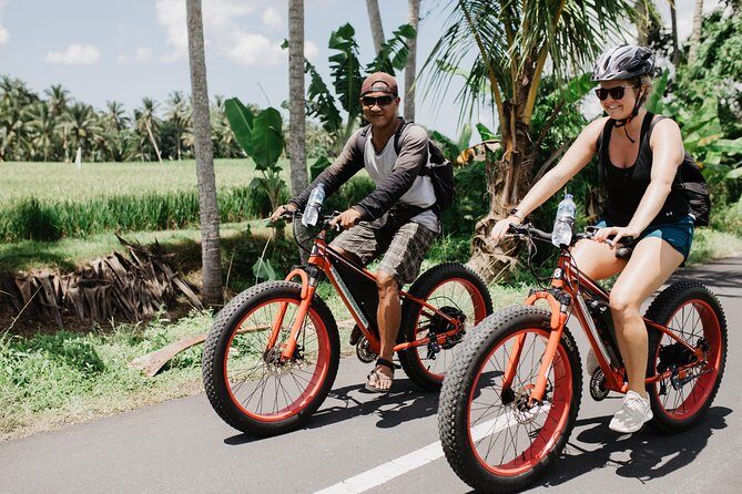 Private Fat Tire E-Bike Tour in Ubud - The Itinerary: A Taste of Bali’s Iconic Attractions