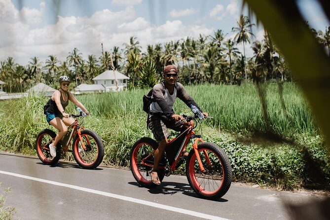 Private Fat Tire E-Bike Tour in Ubud - Cost and Overall Value