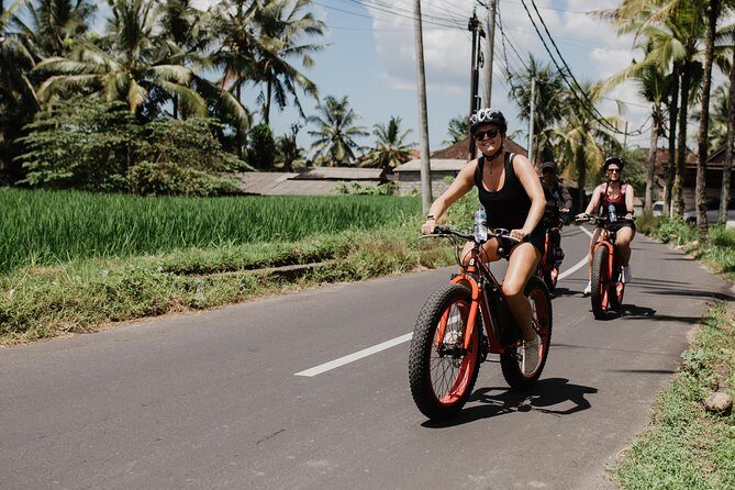 Private Fat Tire E-Bike Tour in Ubud - Final Thoughts
