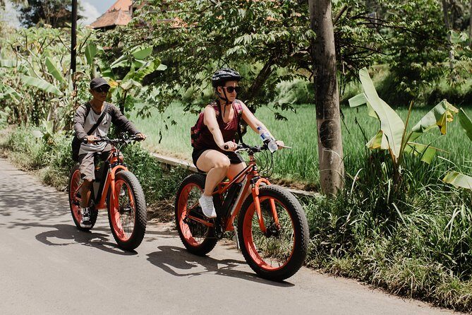 Private Fat Tire E-Bike Tour in Ubud - FAQ