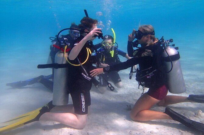 Private First-Time Dive on Arubas Reef and Wreck Site - Key Points