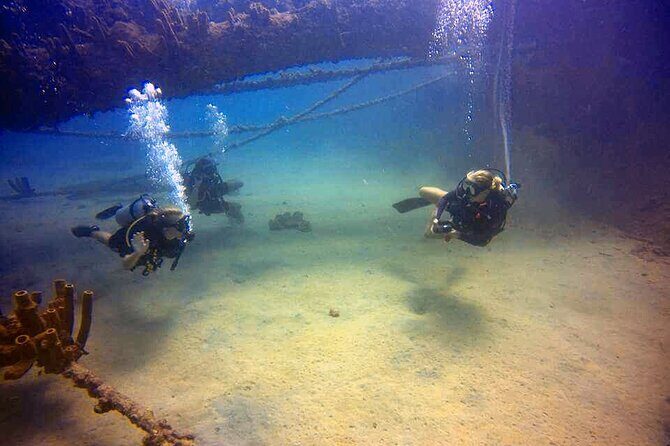 Private First-Time Dive on Arubas Reef and Wreck Site - How the Day Unfolds