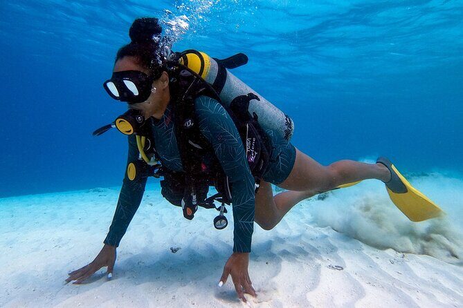 Private First-Time Dive on Arubas Reef and Wreck Site - FAQs