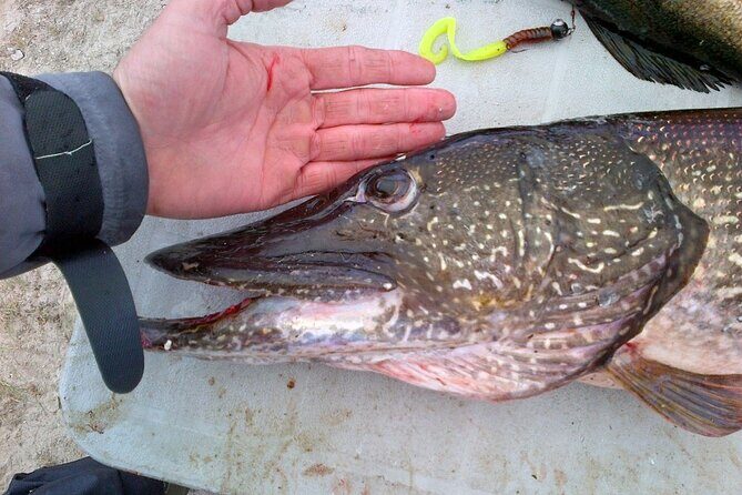 Private Fishing Adventure on the St. Lawrence River - Why This Tour Offers Great Value