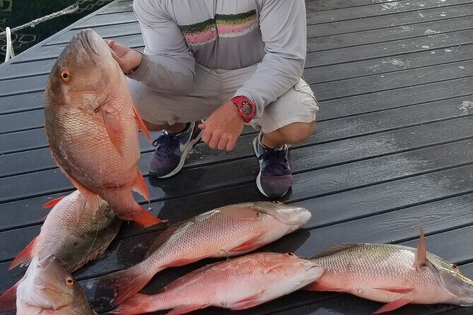 Private Fishing Charter Florida Keys - Authentic Sea Life Encounters and Relaxation