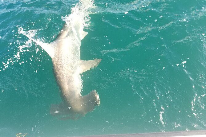 Private Fishing Charter Florida Keys - Booking and Flexibility