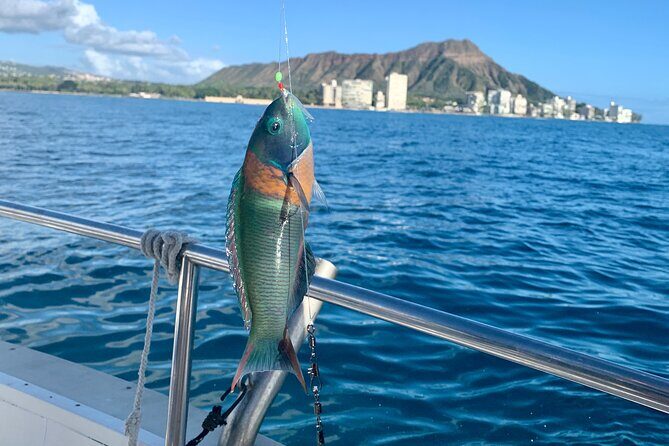 Private Fishing Charter for Family and Friends in Honolulu - What to Expect During Your Fishing Adventure