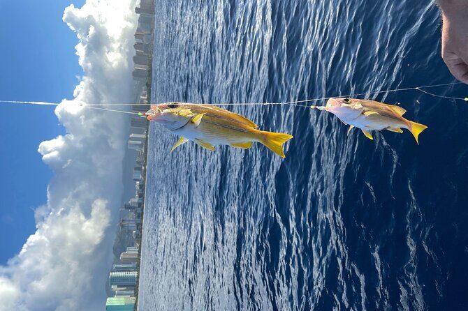 Private Fishing Charter for Family and Friends in Honolulu - The Sum Up