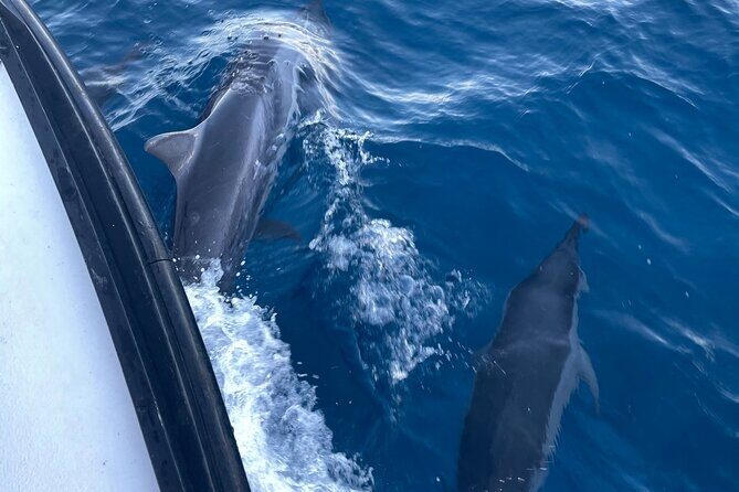 Private Fishing Charter for Family and Friends in Honolulu - FAQ