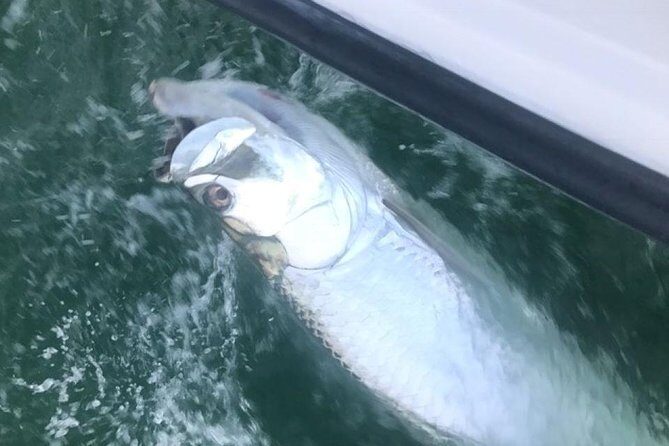 Private Fishing Charter from Ramrod Key - The Authentic Touch in a Private Setting