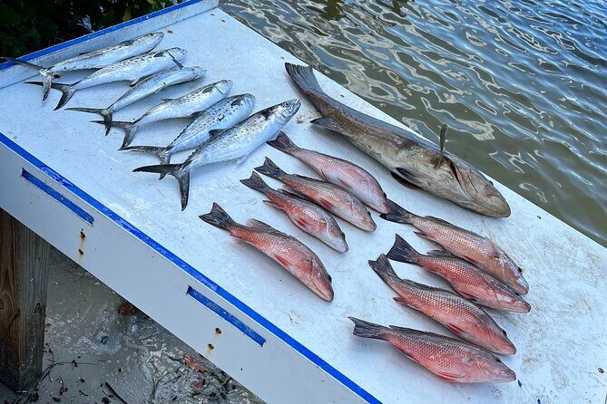 Private Fishing Charter in Tampa - Authentic Reviews from Satisfied Travelers