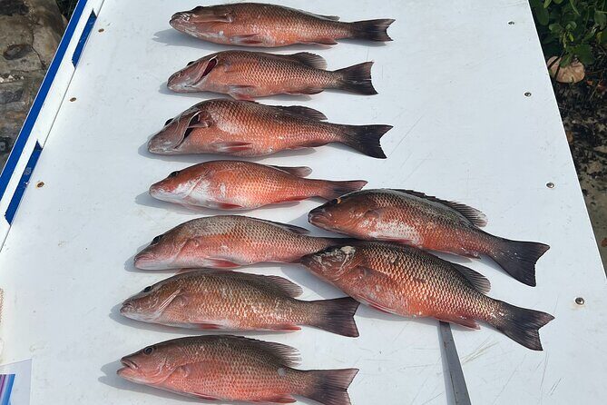 Private Fishing Charter in Tampa - Final Thoughts: Is This Trip Right for You?