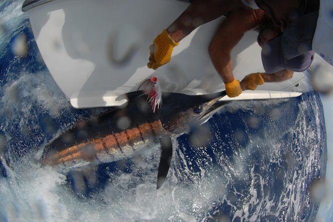 Private Fishing in St Lucia Charters - The Equipment and Amenities