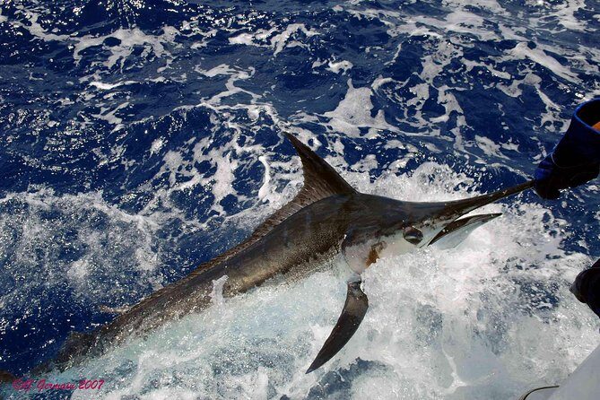 Private Fishing in St Lucia Charters - What to Expect in Terms of Cost & Value