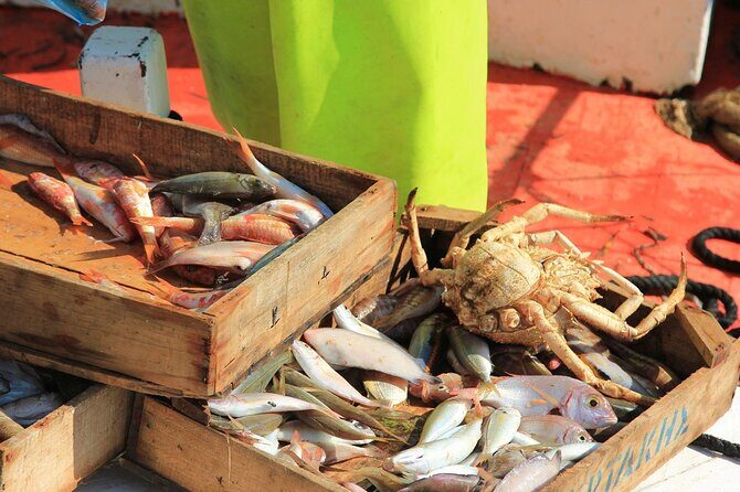 Private Fishing Tour From Athens With A Traditional Fishing Boat - A Deep Dive into the Experience