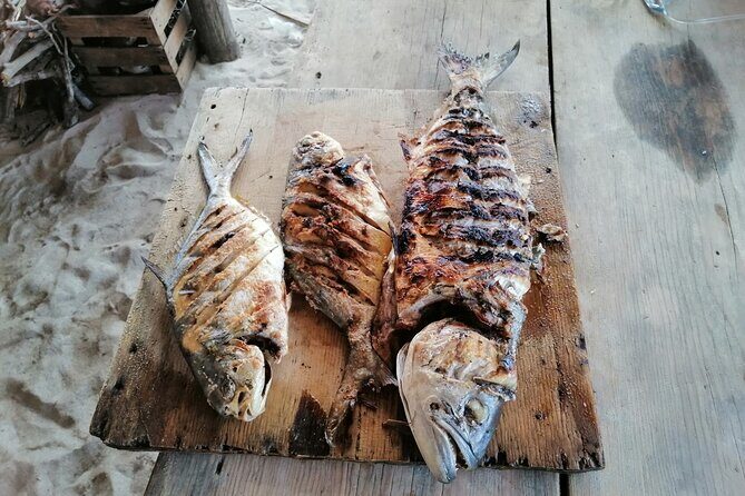 Private Fishing Tour in Holbox Island with Lunch and Pick up - Who Will Love This Tour?