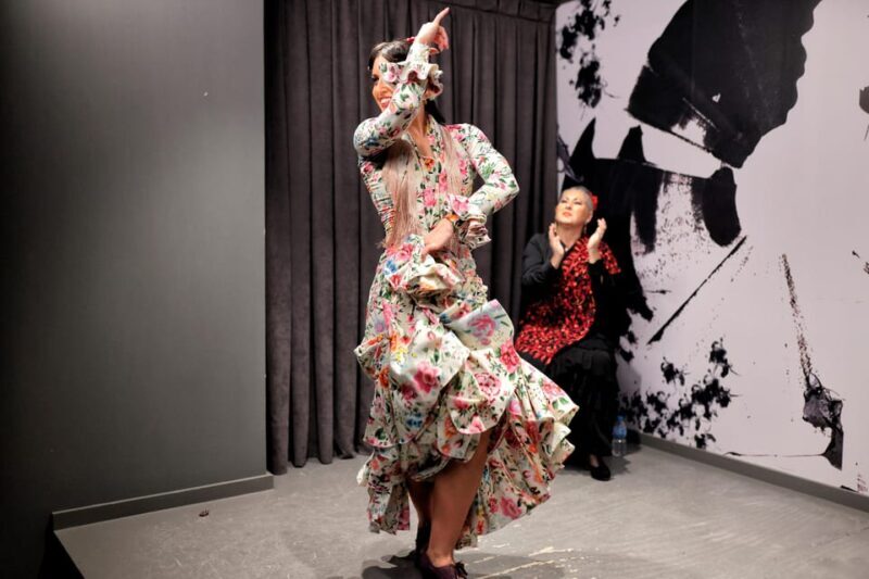 Private flamenco show in the center of Seville (Max 30 pax) - Who Should Book This Tour?