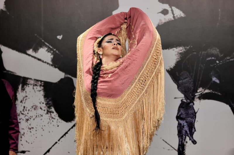 Private flamenco show in the center of Seville (Max 30 pax) - Final Words