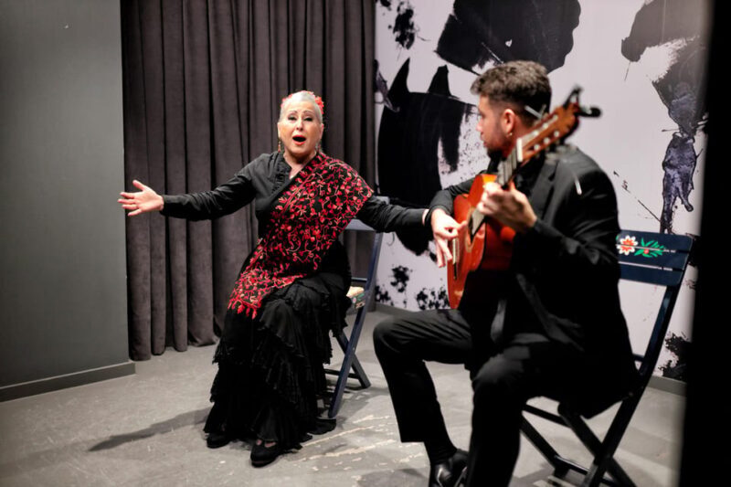 Private flamenco show in the center of Seville (Max 30 pax) - Additional Tips