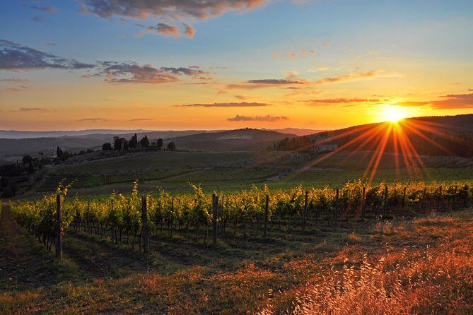 Private Florence and Chianti Wine countryside from Pisa Including Wine Taste - Final Thoughts