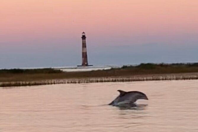 Private Folly Beach Dolphin Cruise (up to 12) - The Salt Marshes Cruise