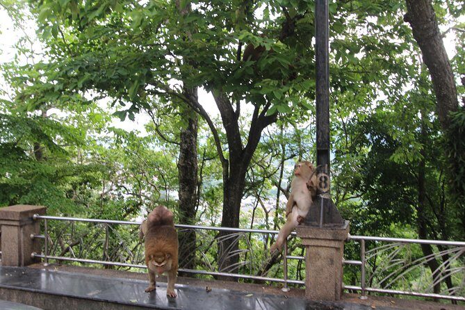 Private food Tour + Sightseeing +Thai Cooking class - Is It Good Value?
