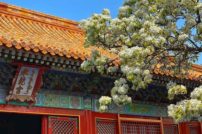 Private Forbidden City and Tiananmen with Summer Palace Tour - FAQ