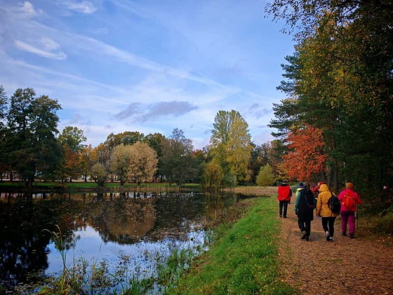 Private Forest Mind Tour in Tampere - A Close Look at the Forest Mind Experience