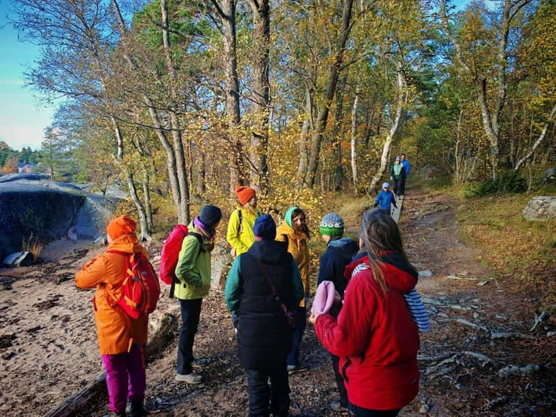 Private Forest Mind Tour in Tampere - Final Thoughts