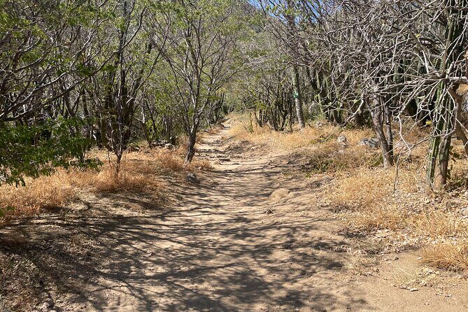 Private Fox Canyon plus Sol de Mayo Waterfall Tour - FAQ