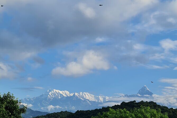 Private Foxing Hill Tour - FAQs about the Private Foxing Hill Tour