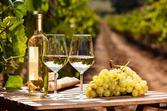 Private Frascati Day Trip With Lunch & Wine Tasting in a Vineyard - Exploring the Itinerary: Breaking Down the Experience