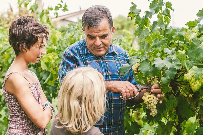 Private Frascati Day Trip With Lunch & Wine Tasting in a Vineyard - Final Thoughts
