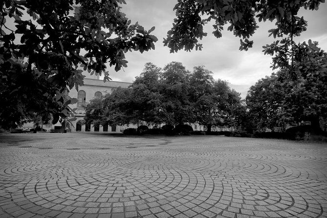 Private French Quarter and Treme Walking Tour - Why This Tour Outshines Others