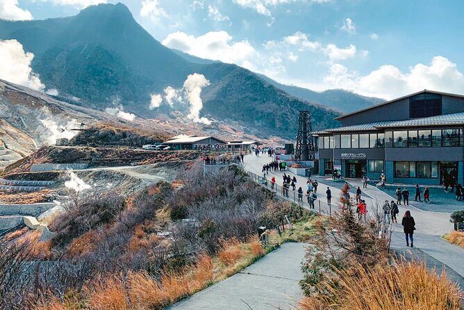 Private Fuji Hakone Tour Charter with English Speaking Driver - The Sum Up