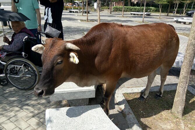 Private Full Day 9-Hour Driving Tour of Lantau from Hong Kong - Authentic Experiences and Highlights