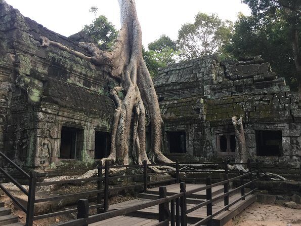 Private Full day Angkor Sunset by Bike - Who Should Book This Tour?