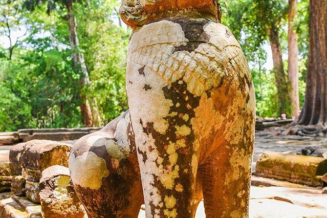 Private Full-Day Angkor Temple and Sunset Viewing with Lunch - Authentic Insights from Reviews