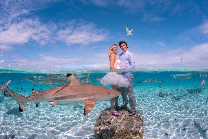 Private Full Day Aquatic Photo Tour + Resort Photo-Shoot (All inclusive) - Introduction
